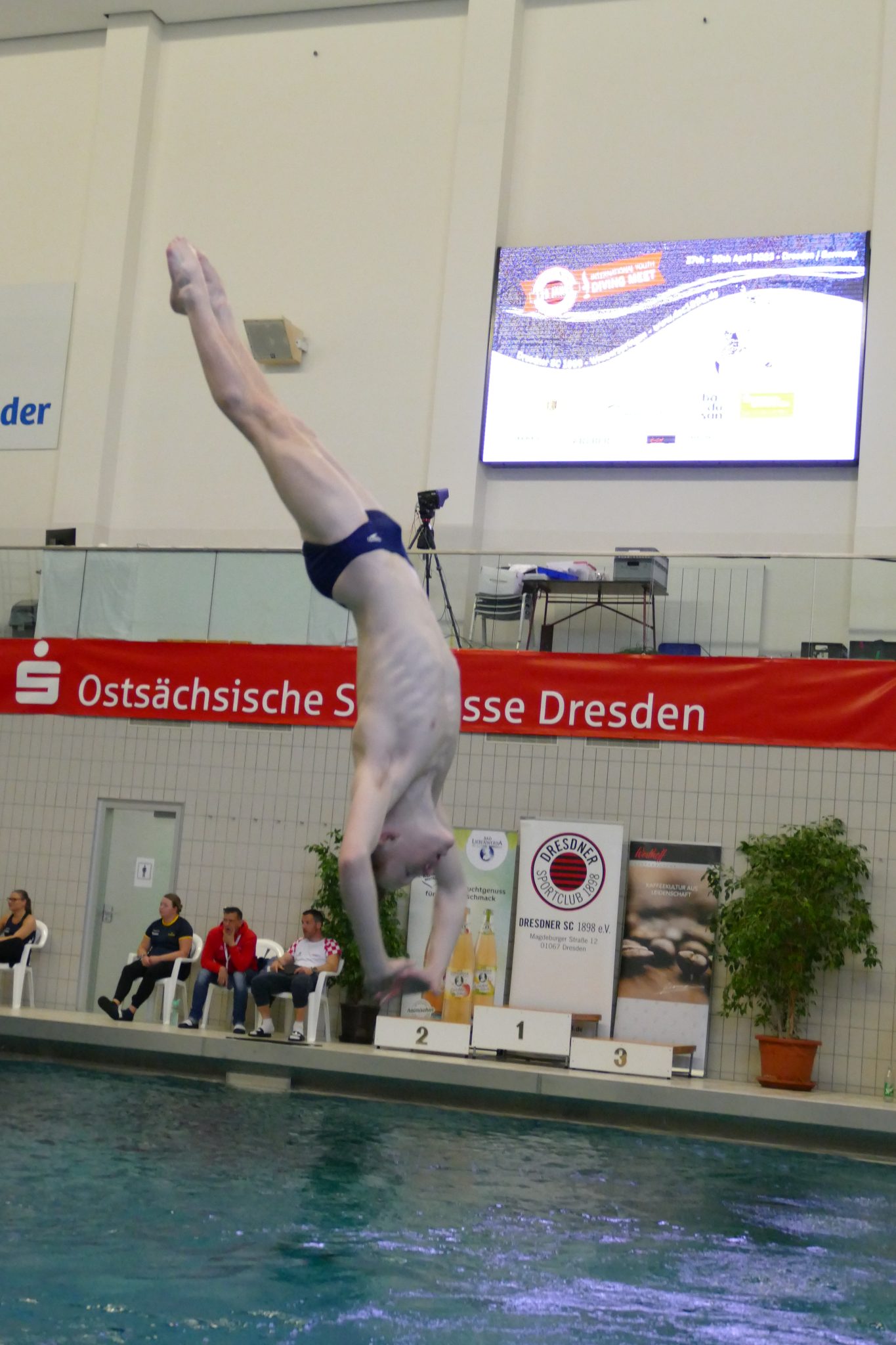 Gallery « Dresden Diving Meet 2021